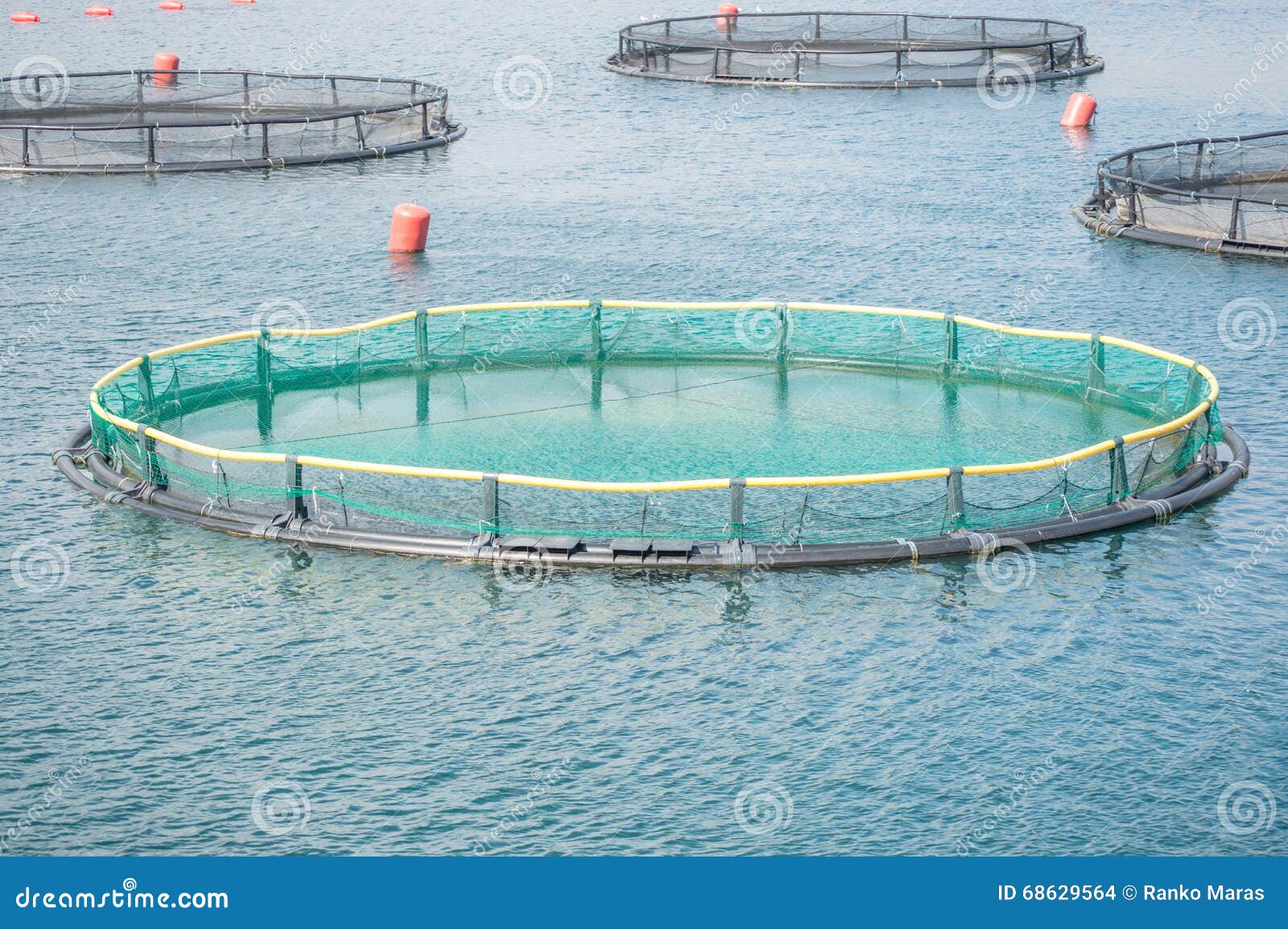 Cages for fish farming stock photo. Image of aquaculture - 68629564