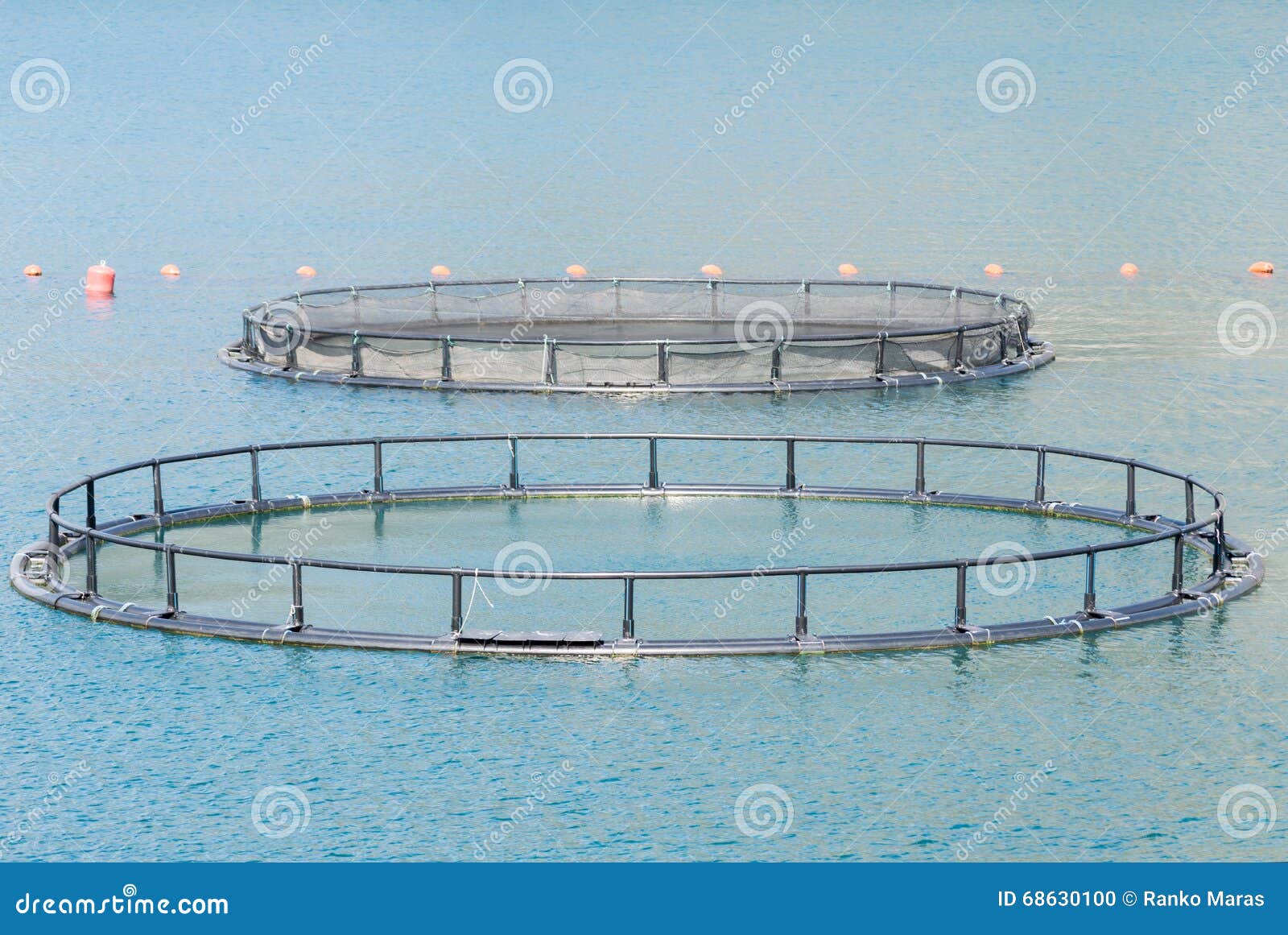 Cages For Fish Farming Stock Photo | CartoonDealer.com #68630100