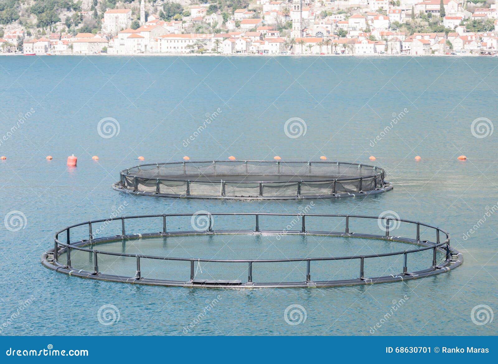 Cages For Fish Farming Stock Image | CartoonDealer.com #68630701