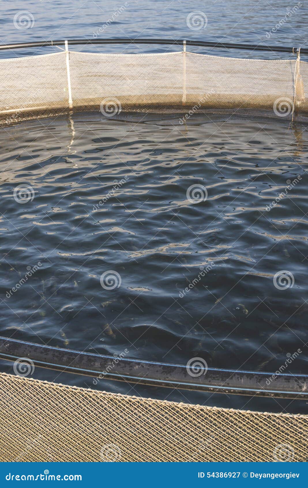 Big Cages For Fish Farming Royalty-Free Stock Photo | CartoonDealer.com ...