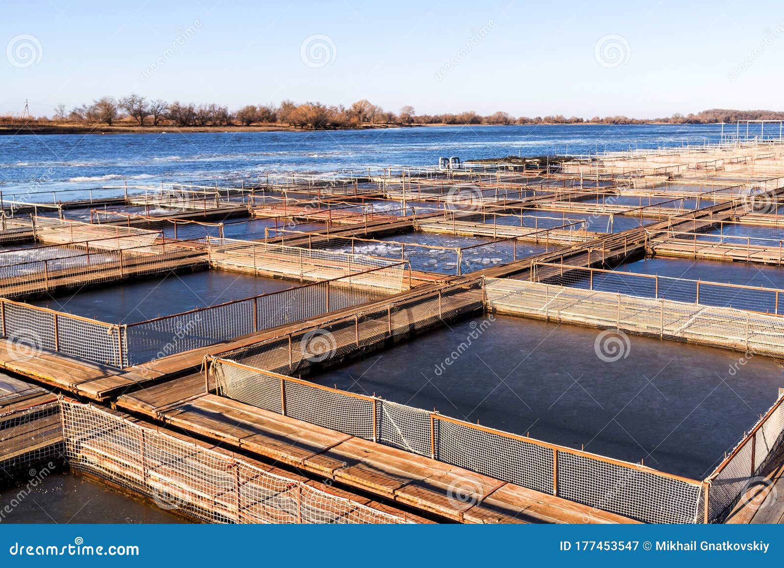 Big Cages For Fish Farming Royalty-Free Stock Photo | CartoonDealer.com ...