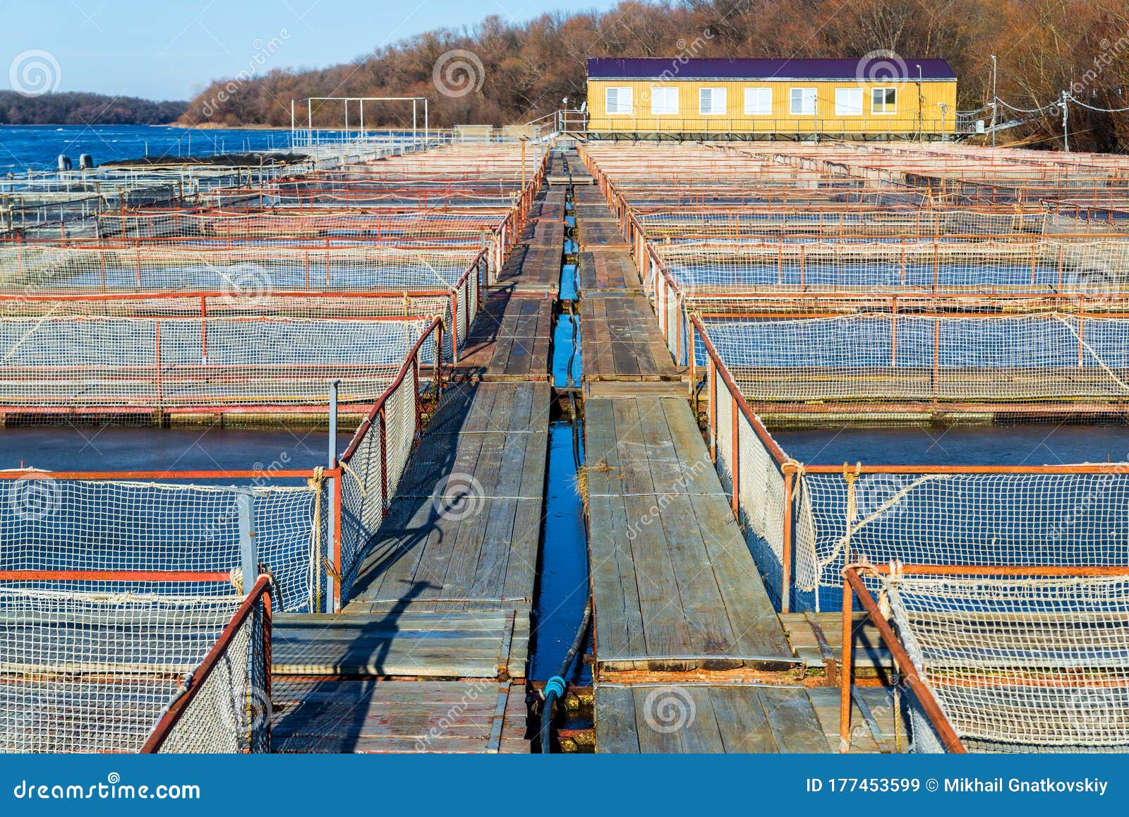 Cages For Fish Farming In The Natural River Royalty-Free Stock ...