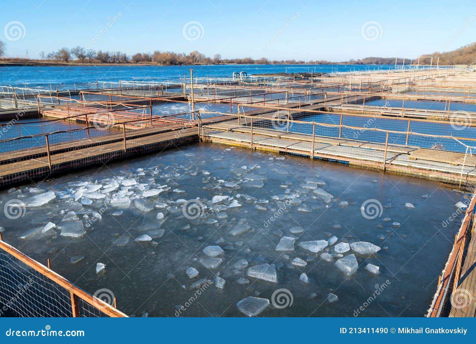 Cages for Fish Farming in the Natural River Stock Photo - Image of ...