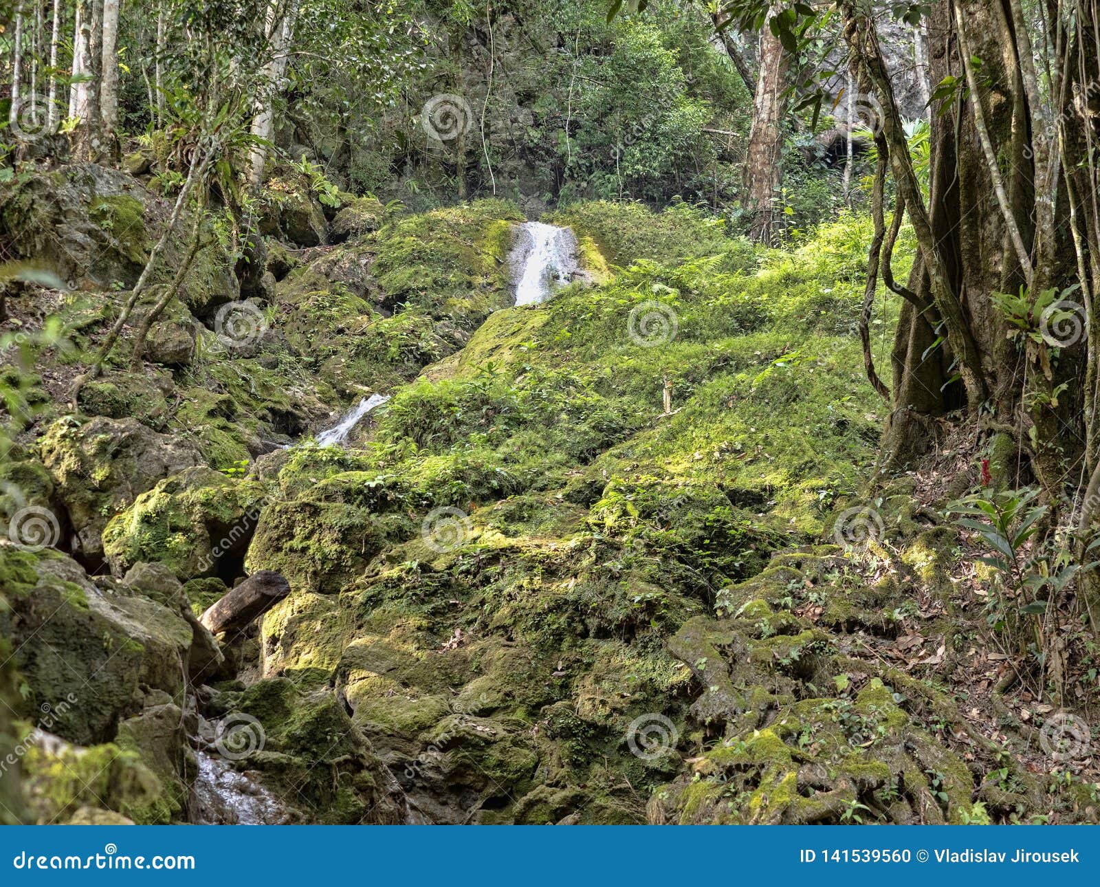 Cahabon River, Forms Numerous Cascades, Semuc Champey, Guatemala Stock ...
