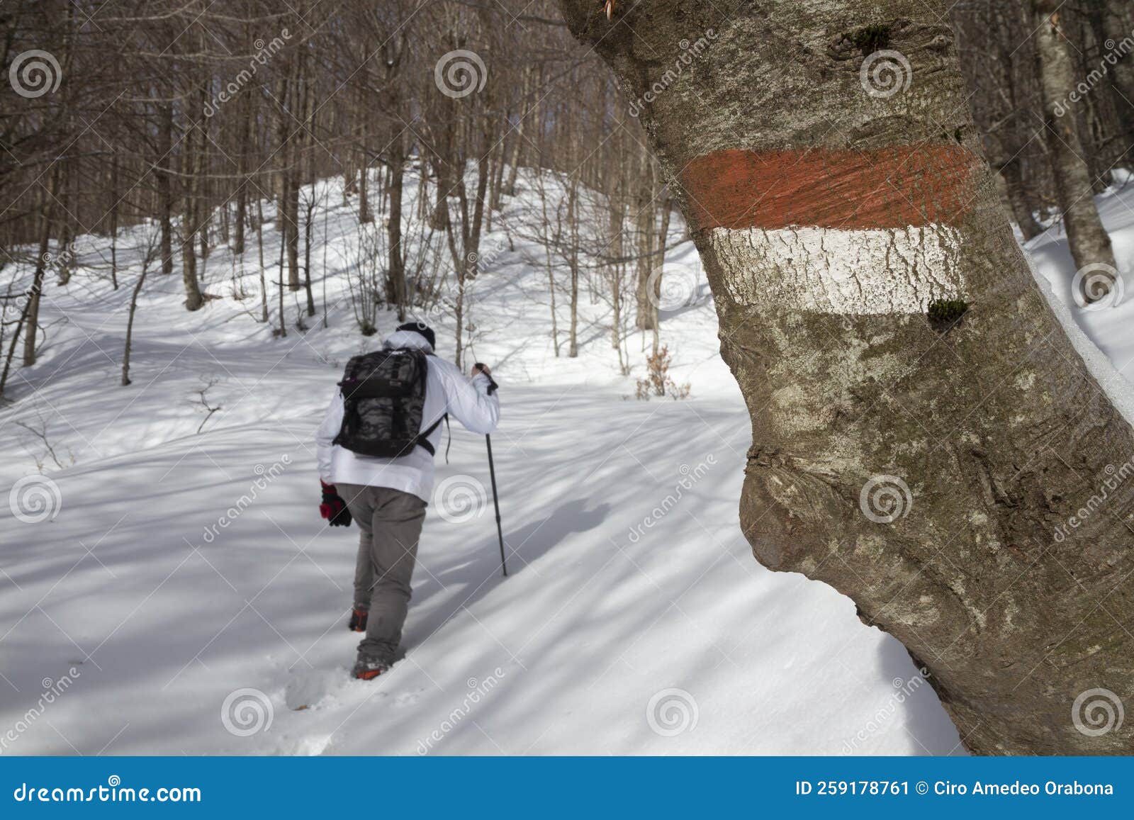 CAI signs and hiker stock image. Image of warning, trail - 259178761