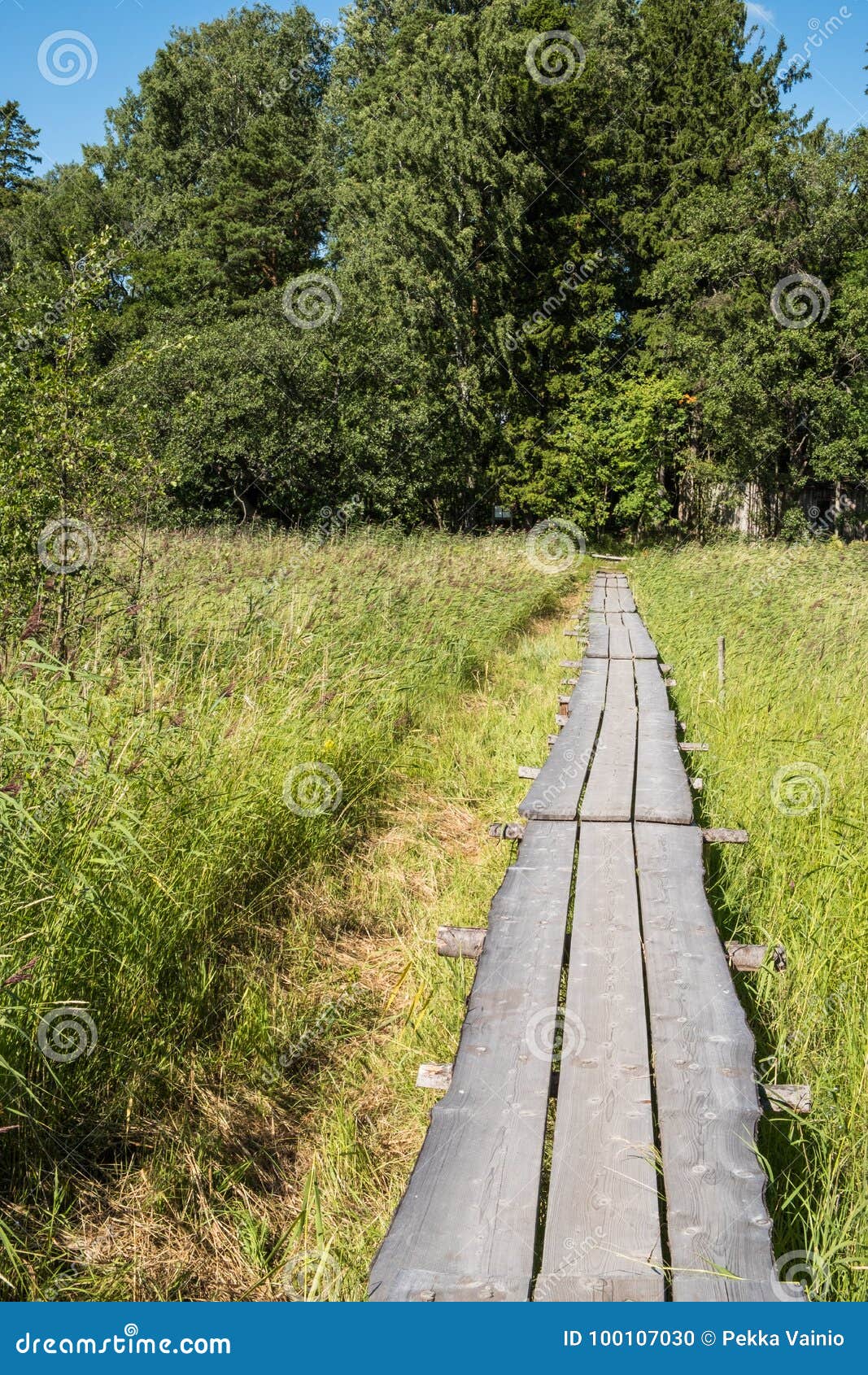 Caillebotis Photos Stock - Téléchargez 225,867 Photos libres de droits