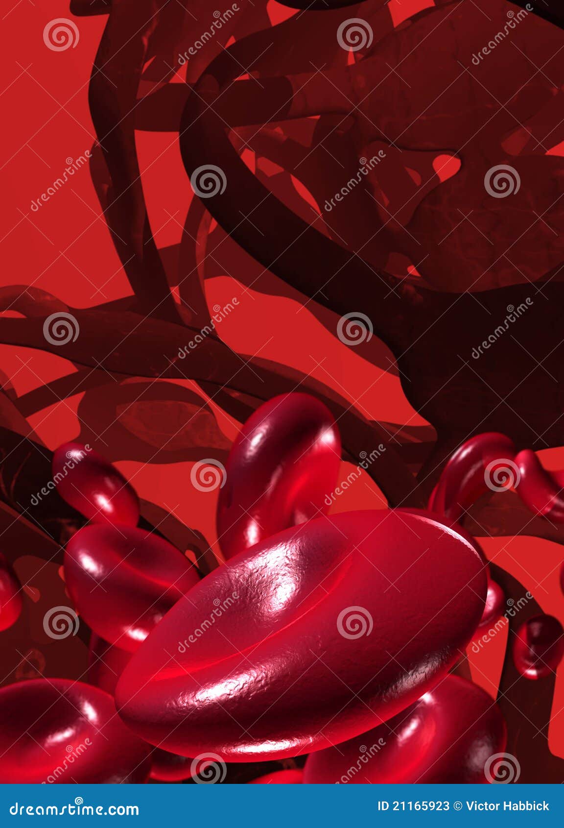 Caillot De Tache Et Globules Sanguins Illustration Stock - Illustration ...