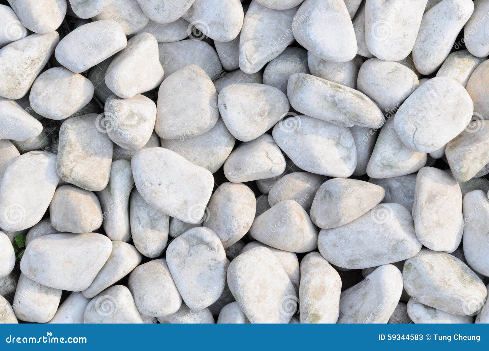 Cailloux Blancs Naturellement Polis De Roche Image stock - Image du ...