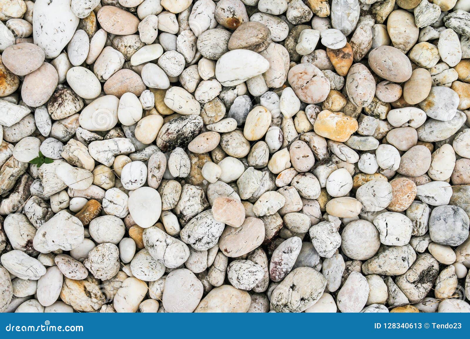 Cailloux Blancs Texture Et Fond En Pierre Image stock - Image du roche ...
