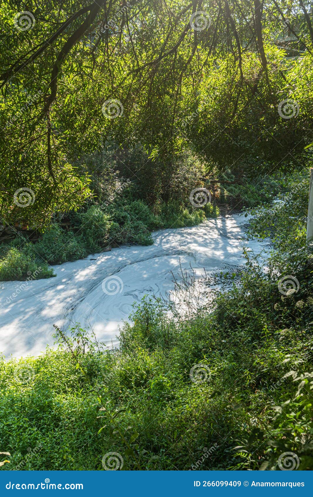 Caima river pollution stock image. Image of garbage - 266099409