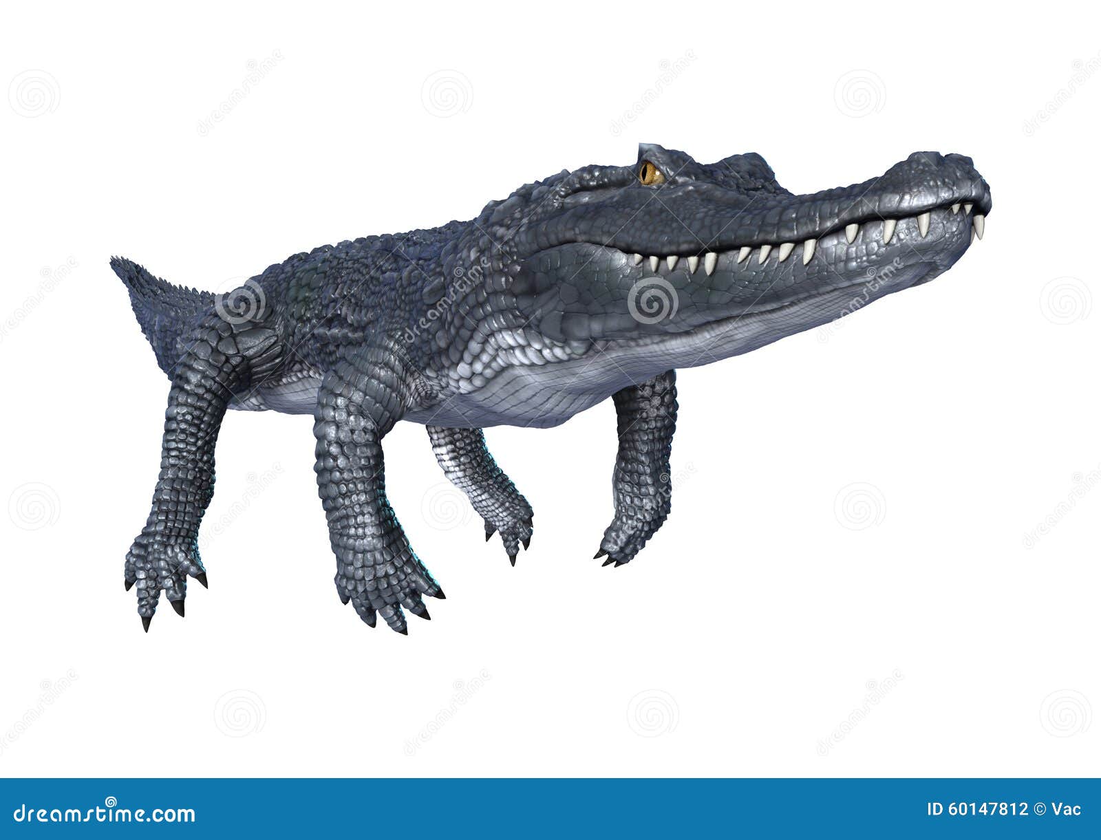 Caiman Cartoons, Illustrations & Vector Stock Images - 1278 Pictures to ...