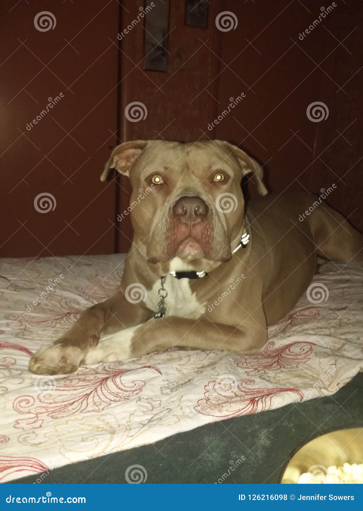 Cain stock photo. Image of cain - 126216098