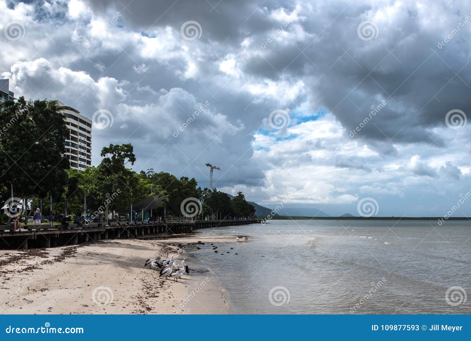 Cairns Esplanade Reef Fleet Terminal At Marlin Marina In Queensland ...