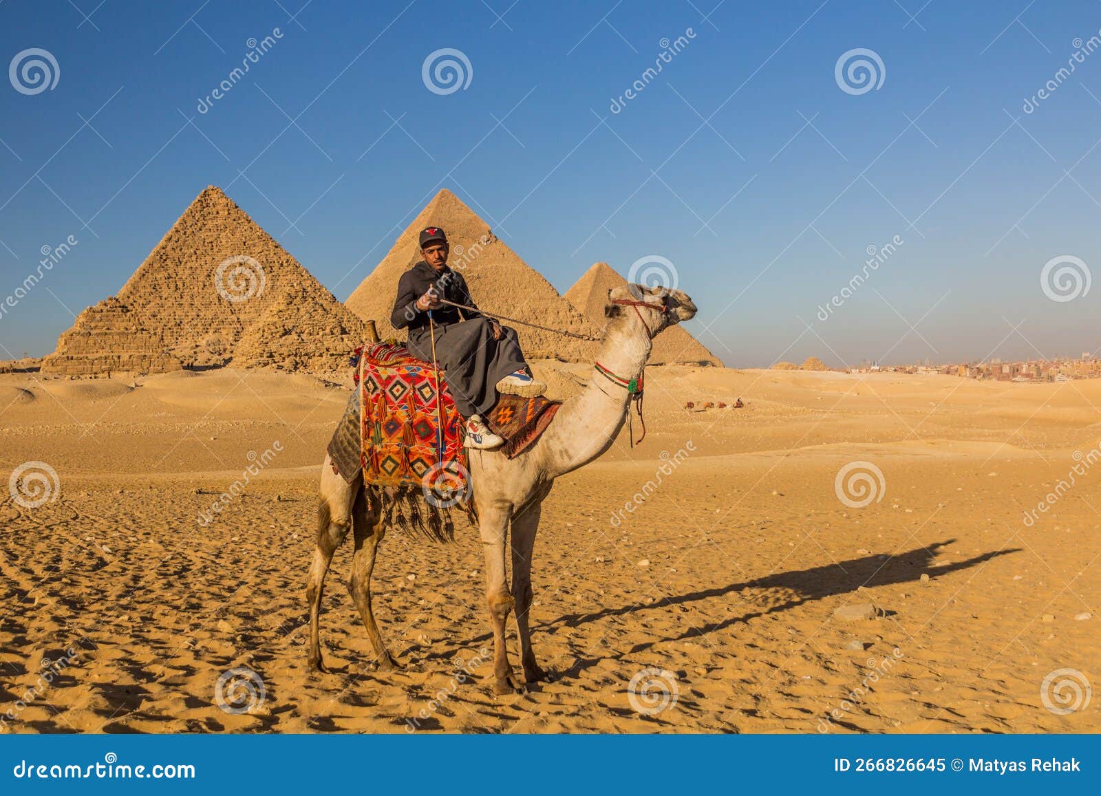 CAIRO, EGYPT - JANUARY 28, 2019: Camel Rider in Front of the Great ...