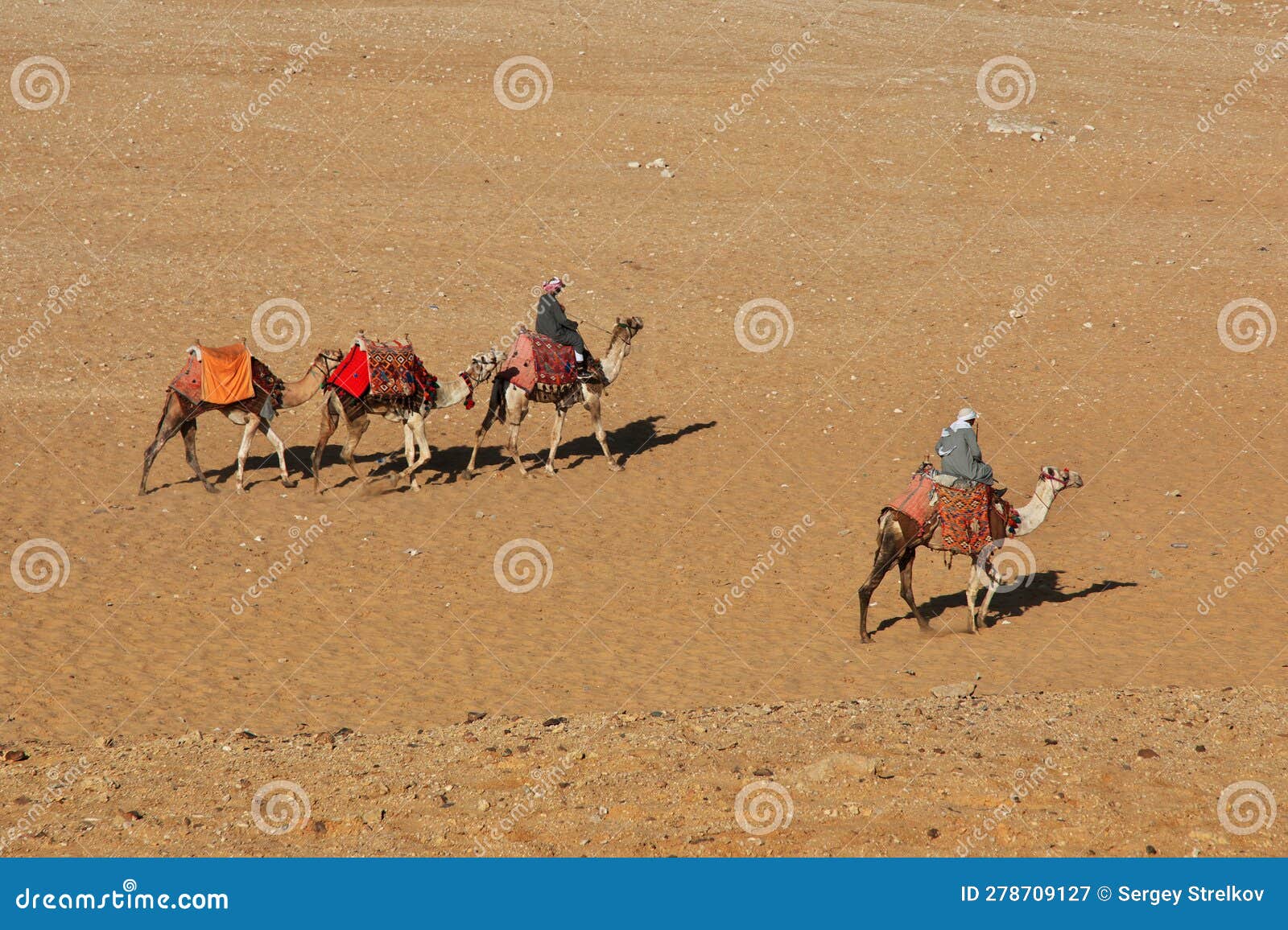 Cairo, Egypt - 05 Mar 2017. the People Close Great Pyramids in Giza ...