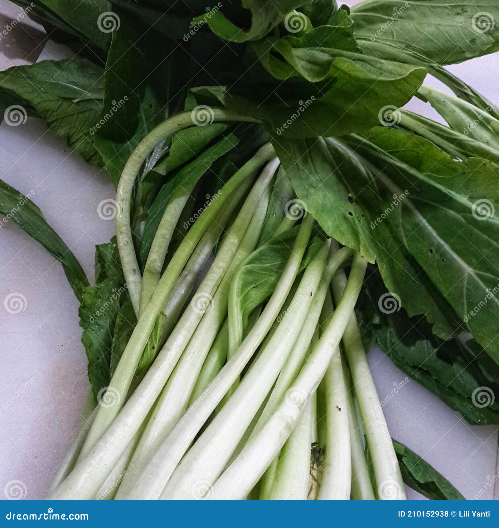 Caisim Leaves for Cooking with Green Leaves and White Stems Stock Photo ...