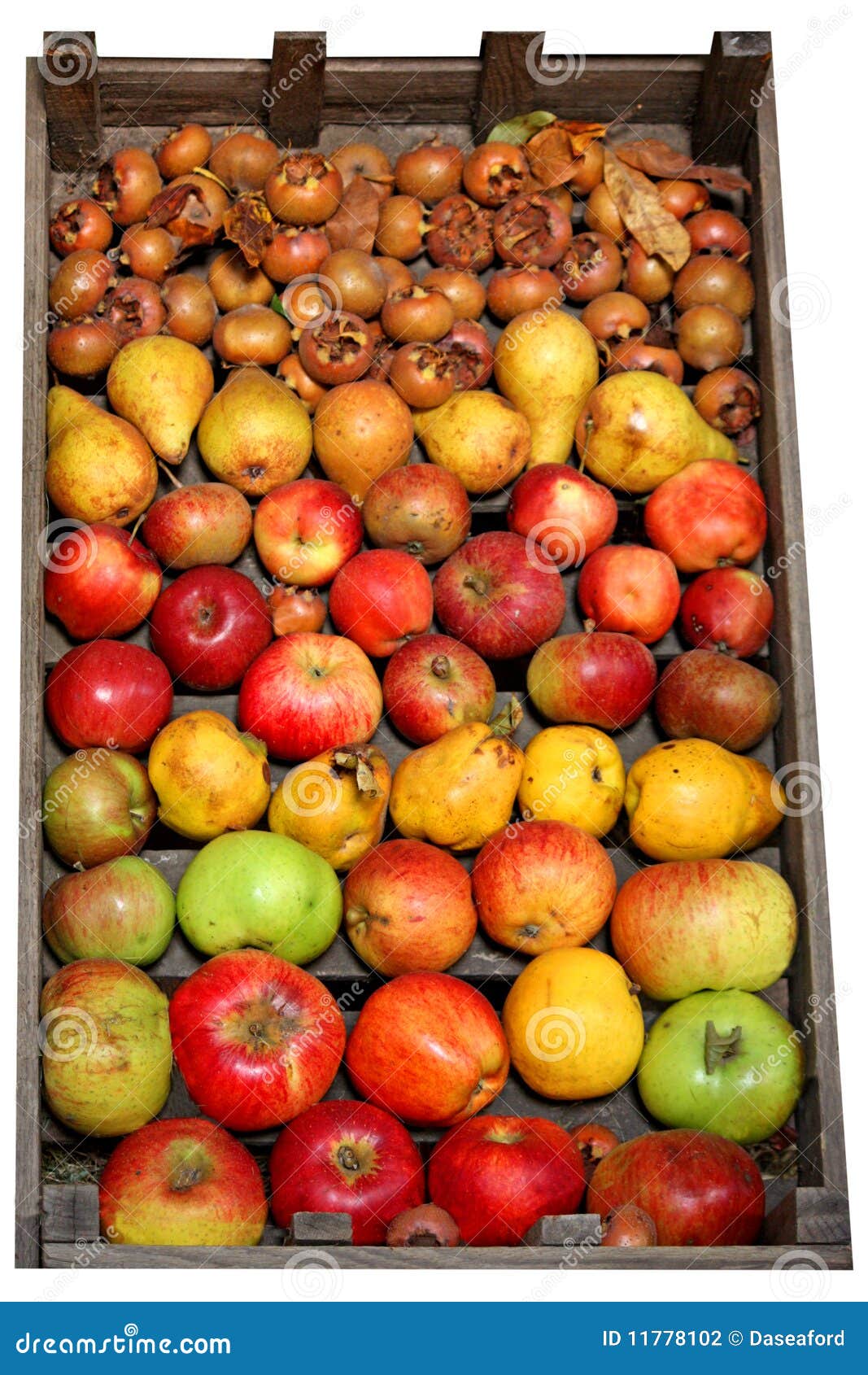 Caixa da fruta. foto de stock. Imagem de indicador, variedade - 11778102