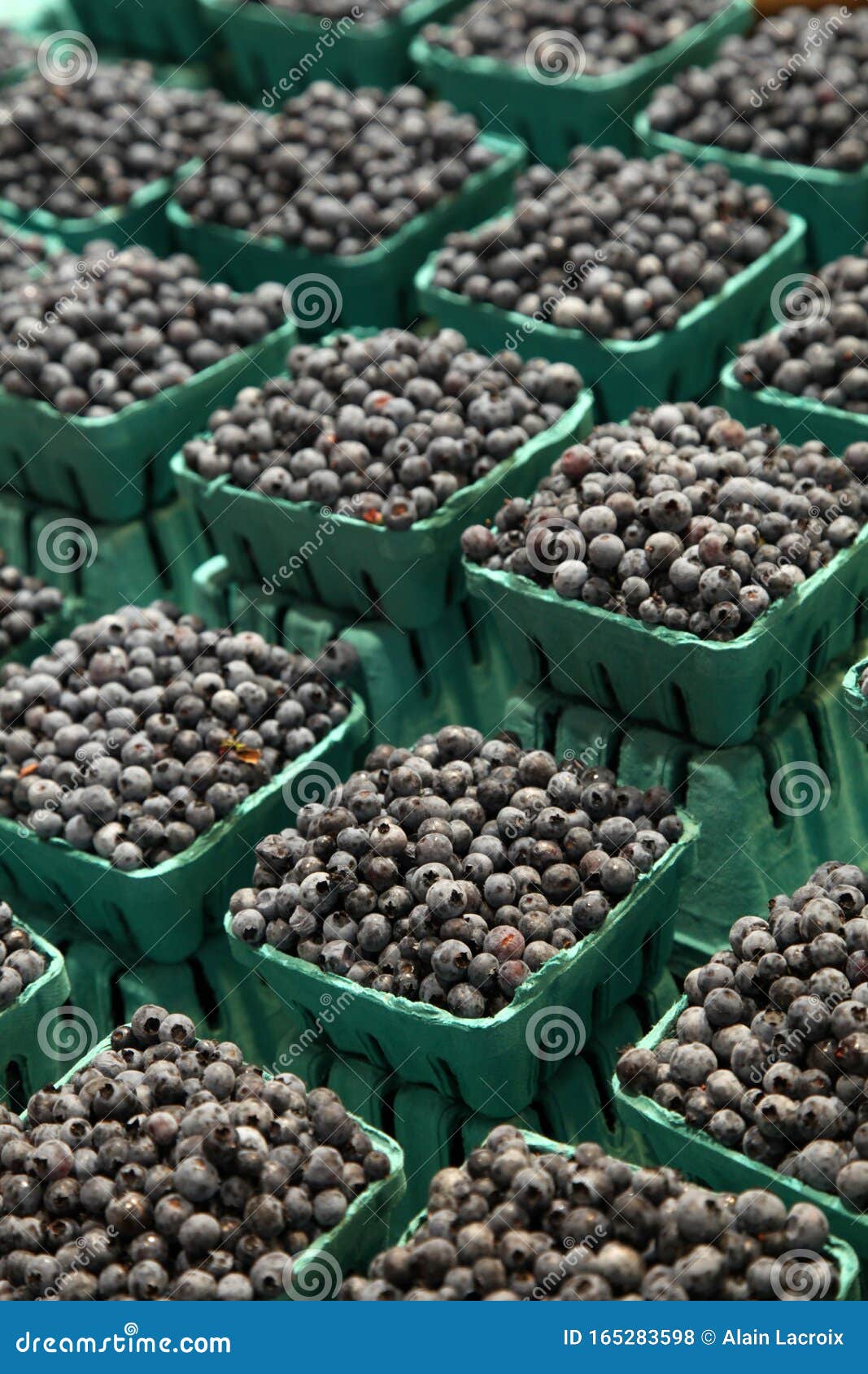 Caixas de mirtilos foto de stock. Imagem de fome, dieta - 165283598