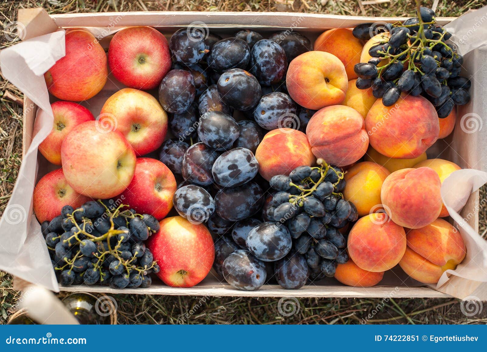 Caja con la fruta imagen de archivo. Imagen de junto - 74222851