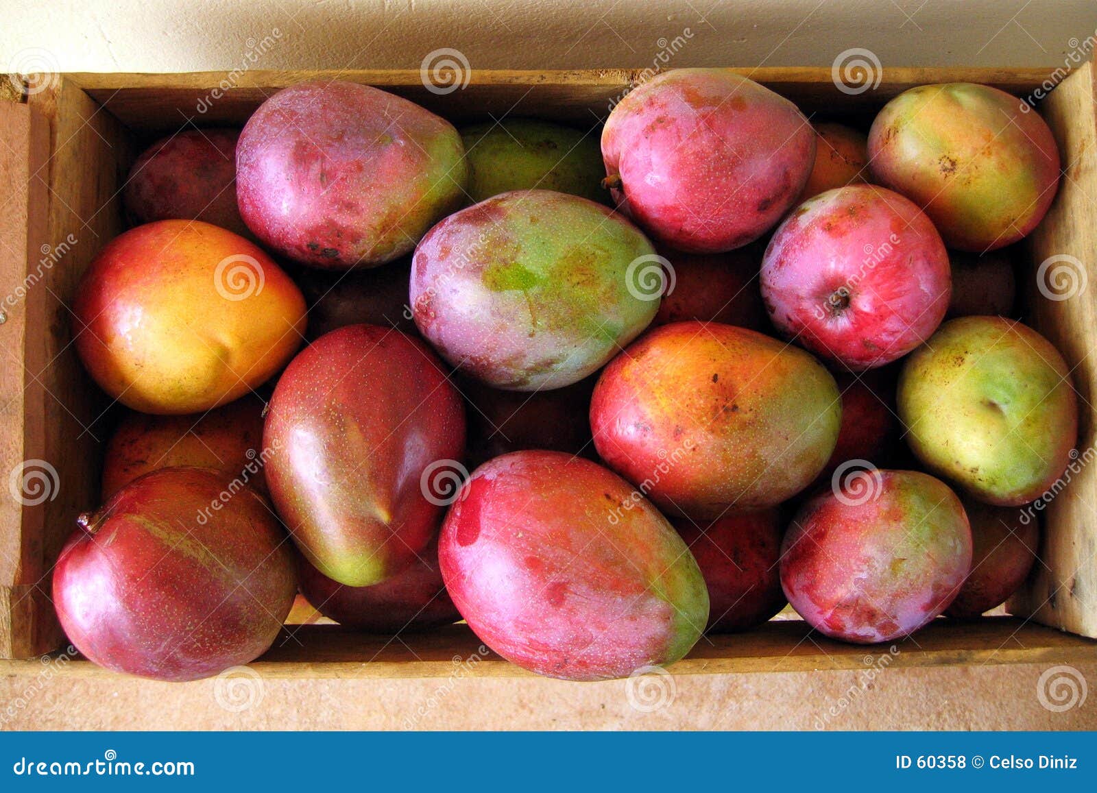 Caja de frutas del mango foto de archivo. Imagen de frescura - 60358
