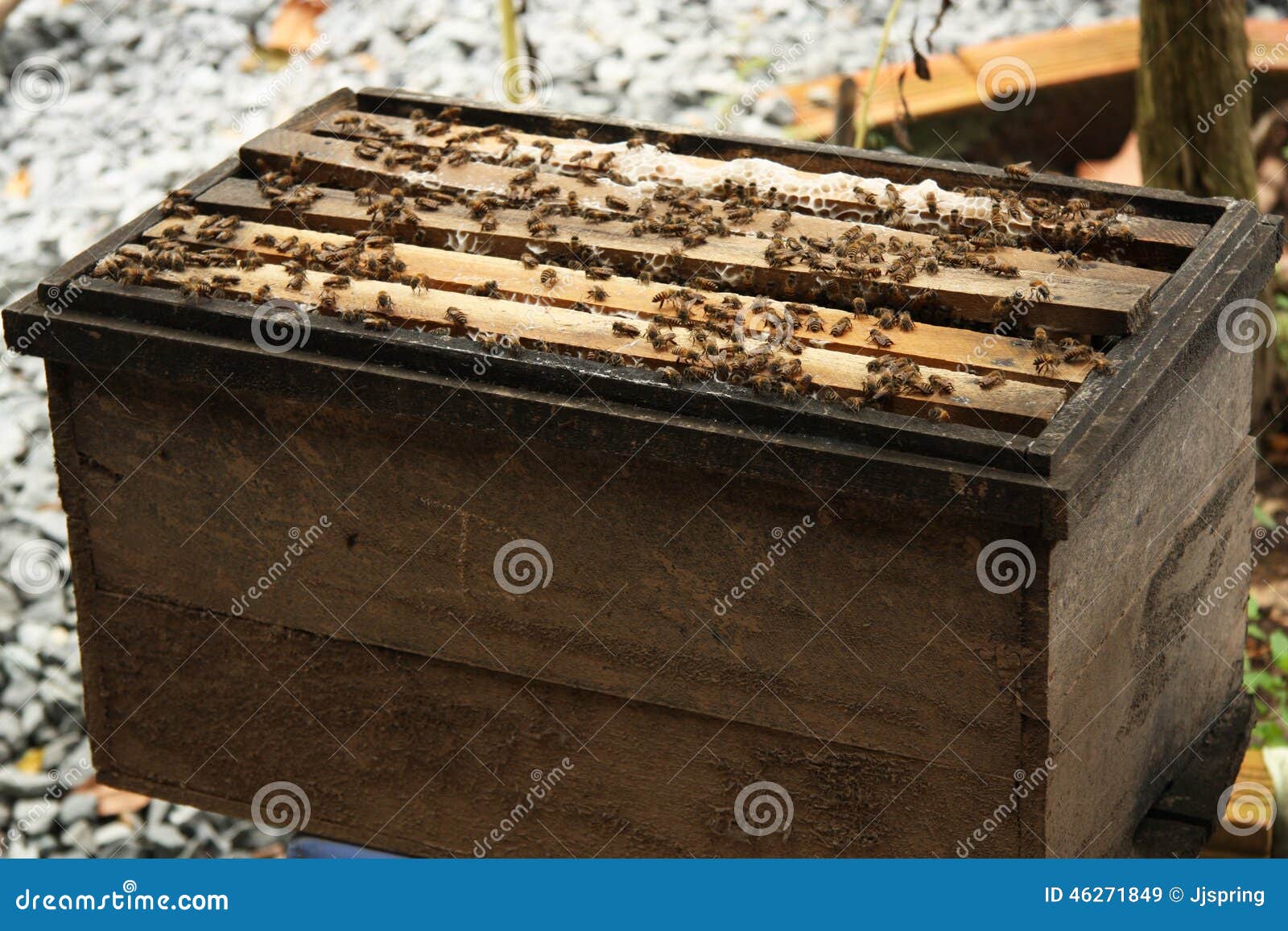 Caja De Madera Natural De La Abeja Imagen de archivo - Imagen de ...