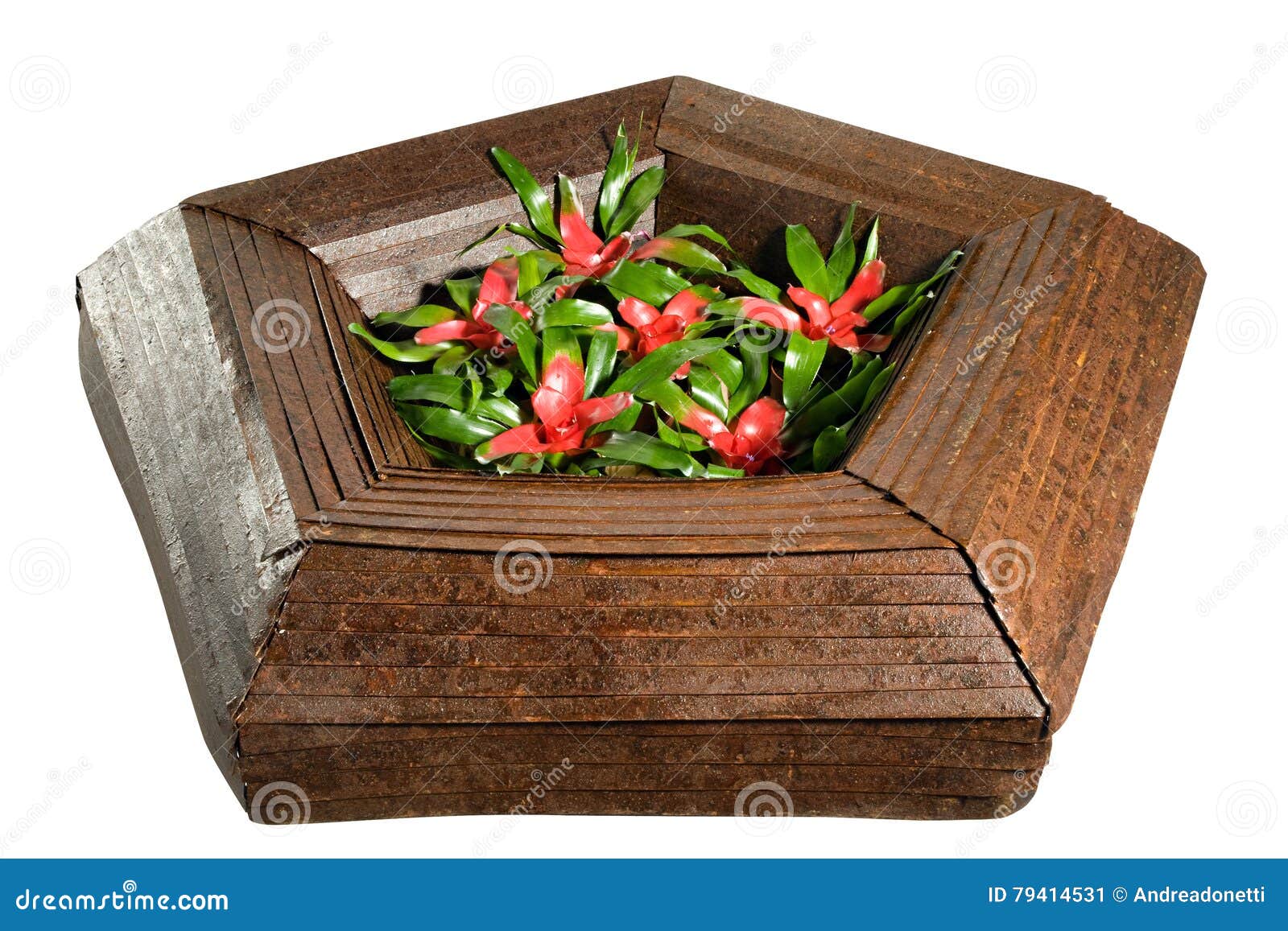 Caja De Madera Pentagonal Elegante De La Flor Imagen de archivo ...