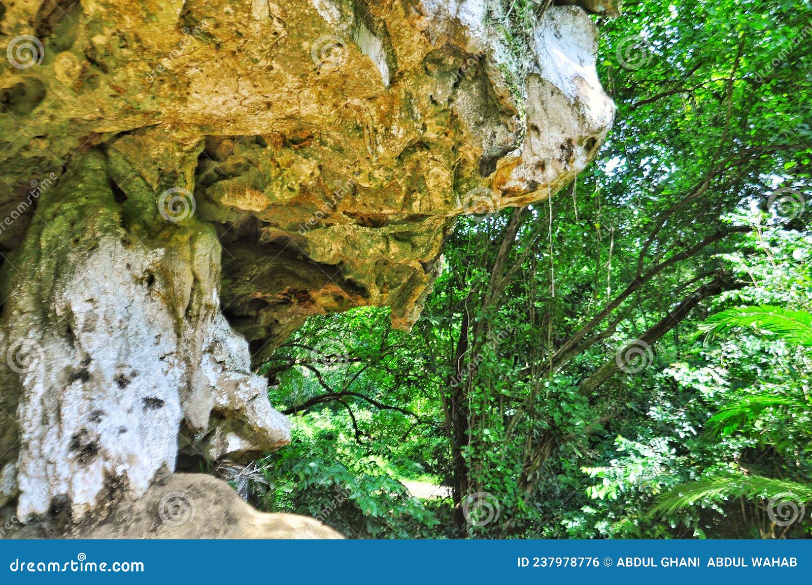 Cajadada De Caverna Estalactites Estalagmites Floresta Verde Foto de ...