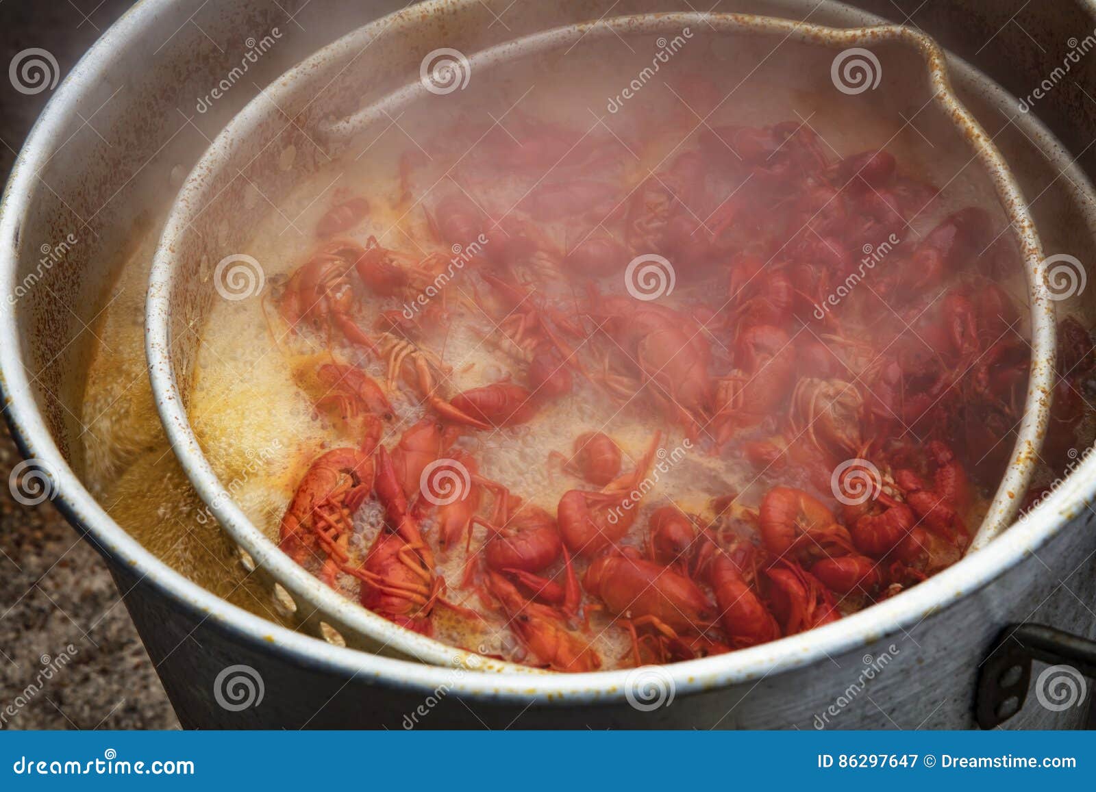 Cajunrivierkreeften Die in Warm Water Koken Stock Afbeelding - Image of ...