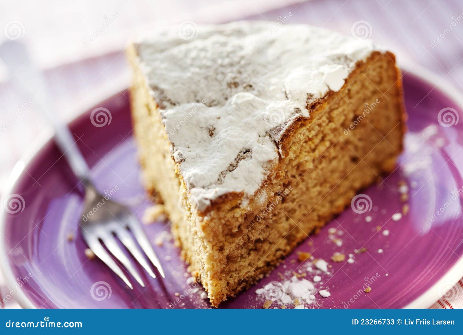 Cake stock image. Image of closeup, piece, cake, caster - 23266733