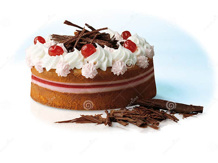 Cake stock image. Image of celebrating, occasion, birthday - 27879