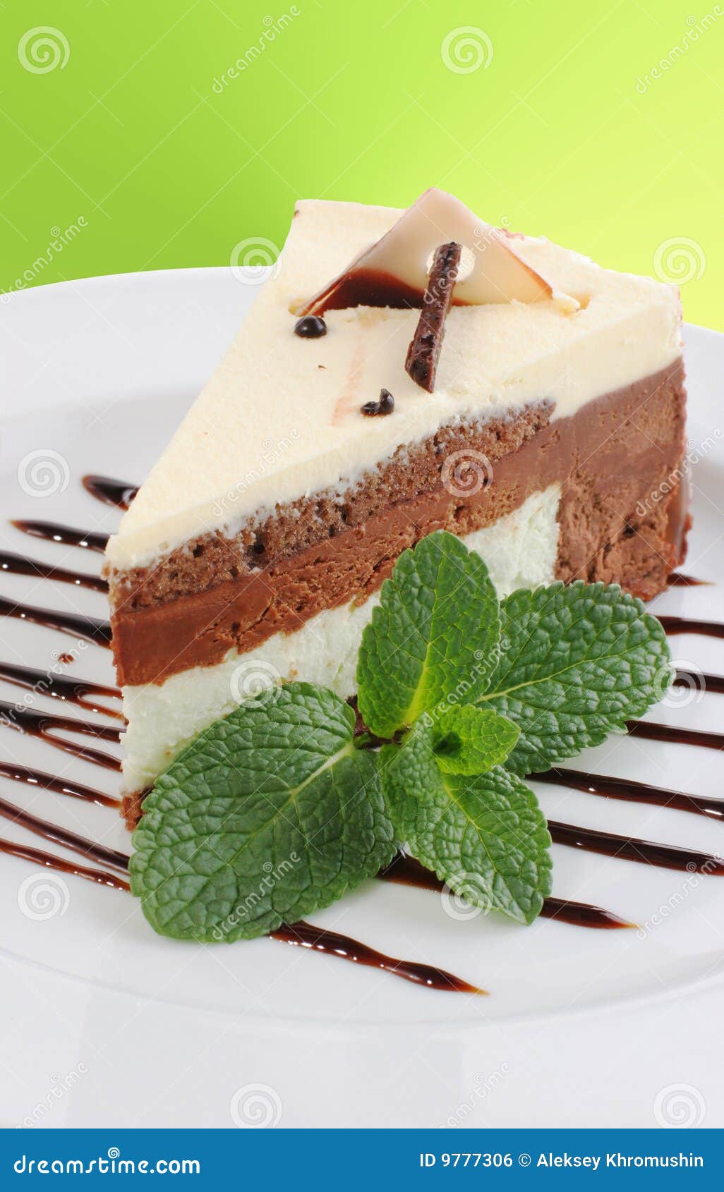 Cake stock photo. Image of plate, food, piece, dessert - 9777306