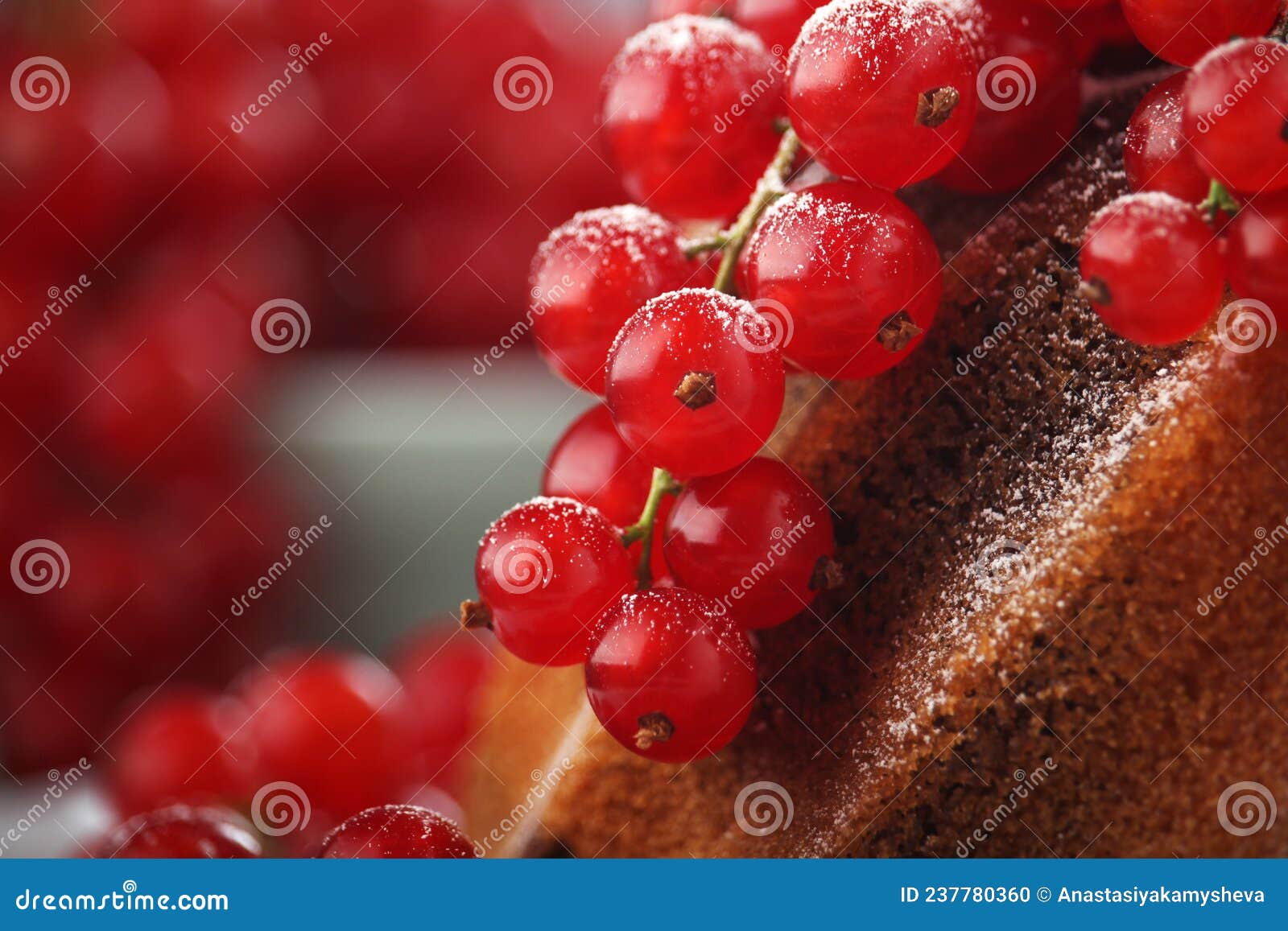 A Cake with Fresh Red Currant and Tea Stock Photo - Image of delicious ...