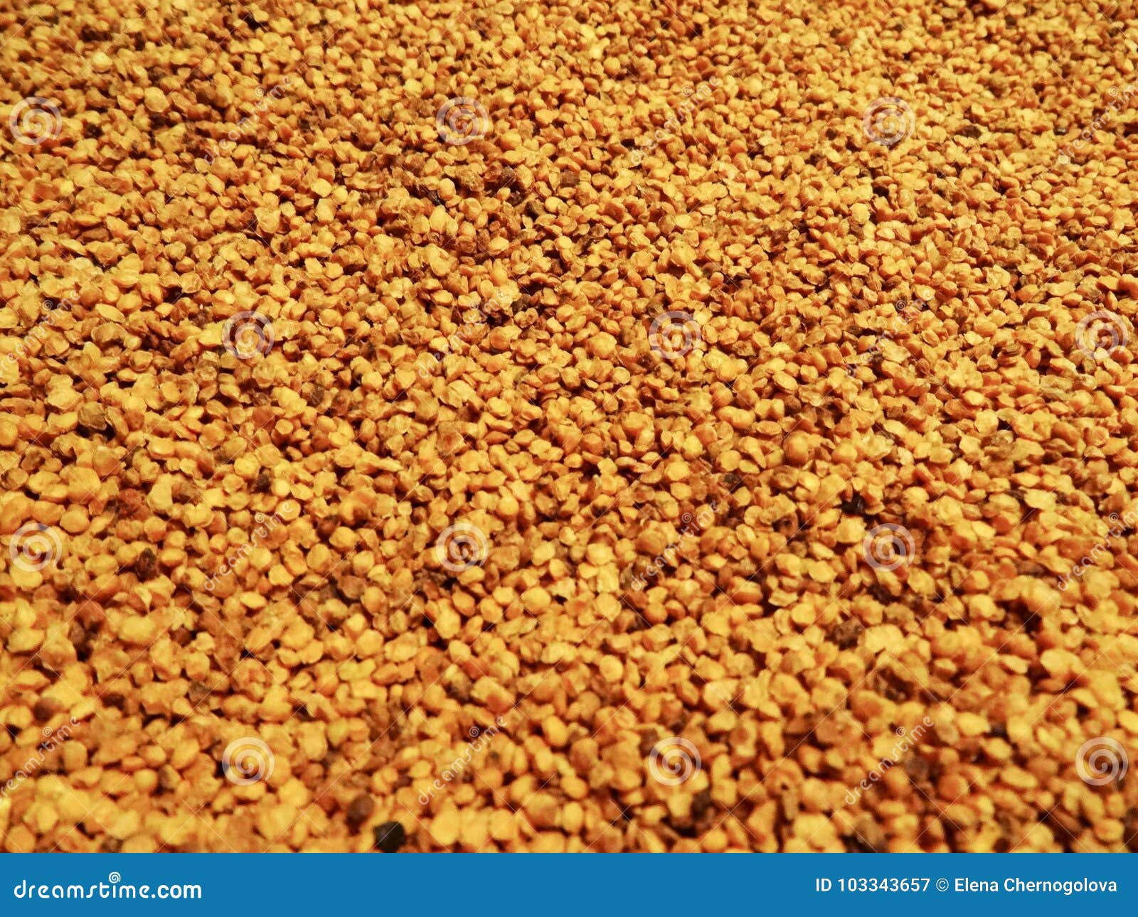 Cake mustard seed. stock image. Image of cake, scattering - 103343657