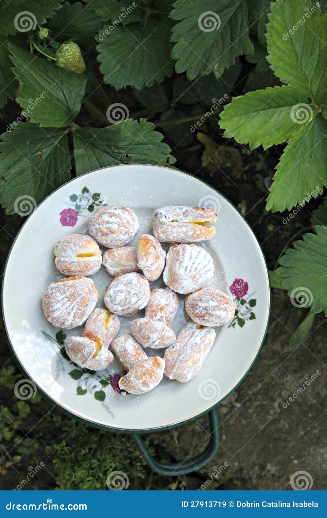 Cake in the shape of nut stock image. Image of delicatessen - 27913719