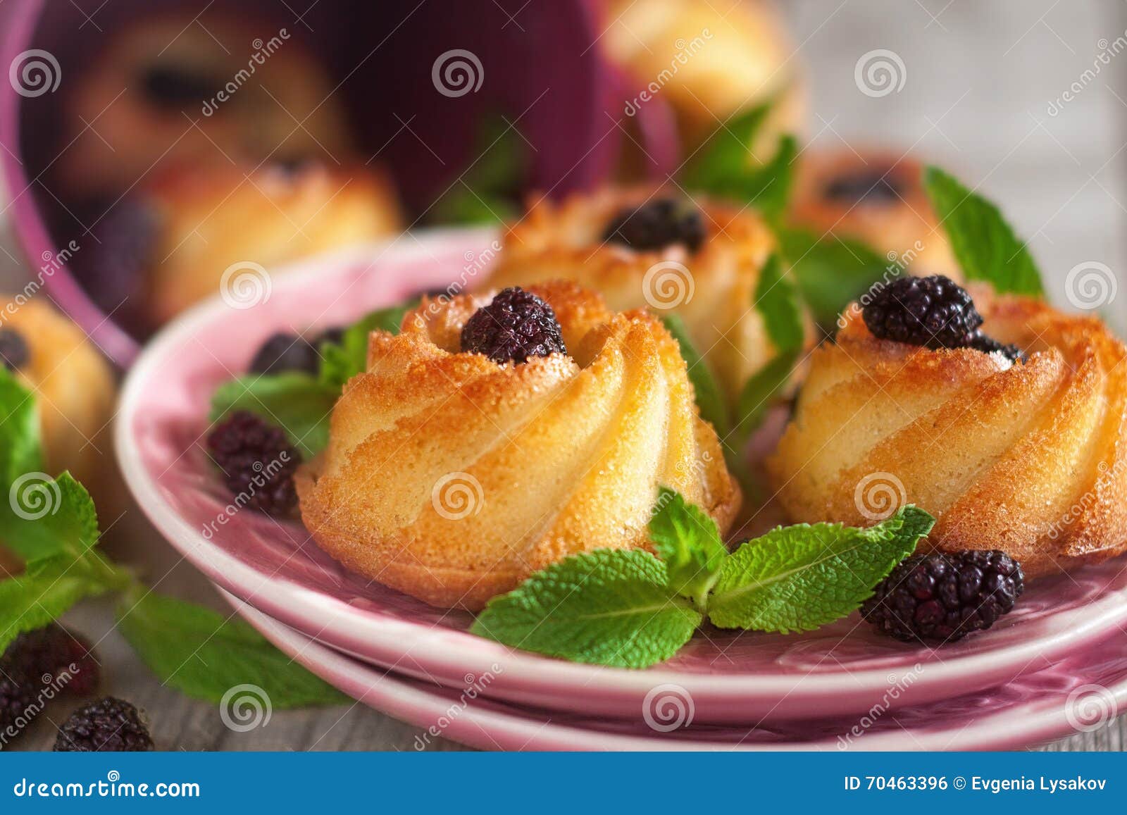 Cakes with mulberry stock photo. Image of baking, natural - 70463396