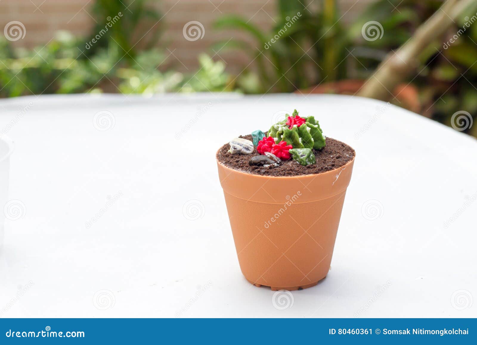 Cakes Shaped Flower Pot Cactus . Stock Image - Image of patrick, heart ...
