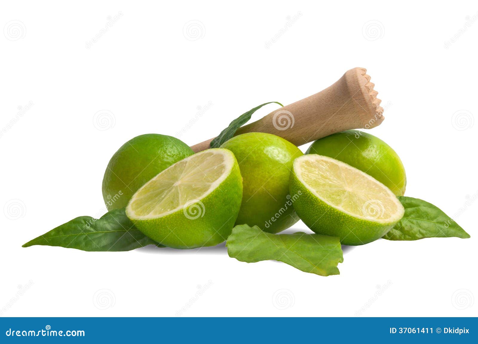 Cal imagen de archivo. Imagen de conjunto, vida, fresco - 37061411