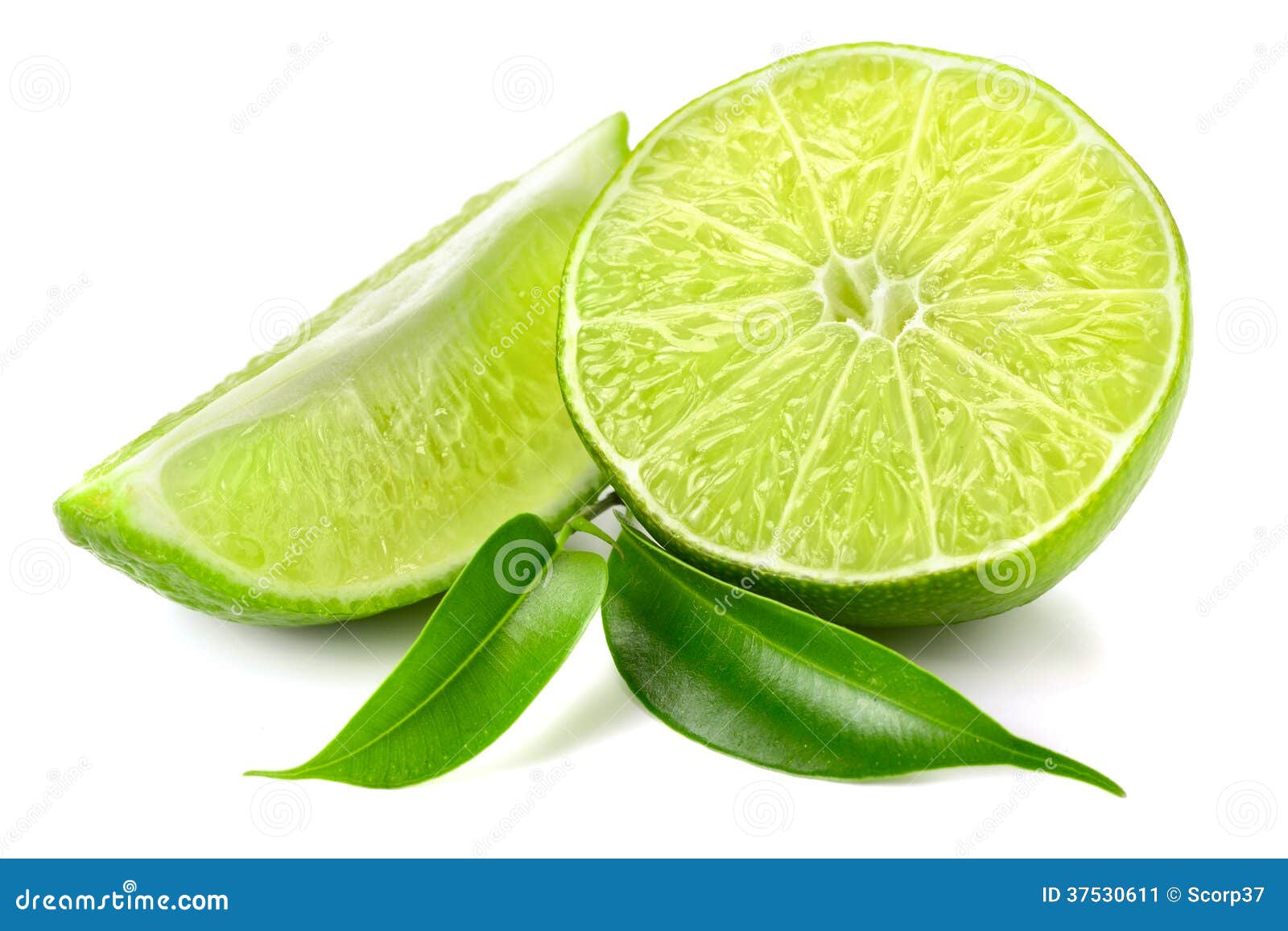 Cal imagen de archivo. Imagen de verde, dieta, vida, grupo - 37530611