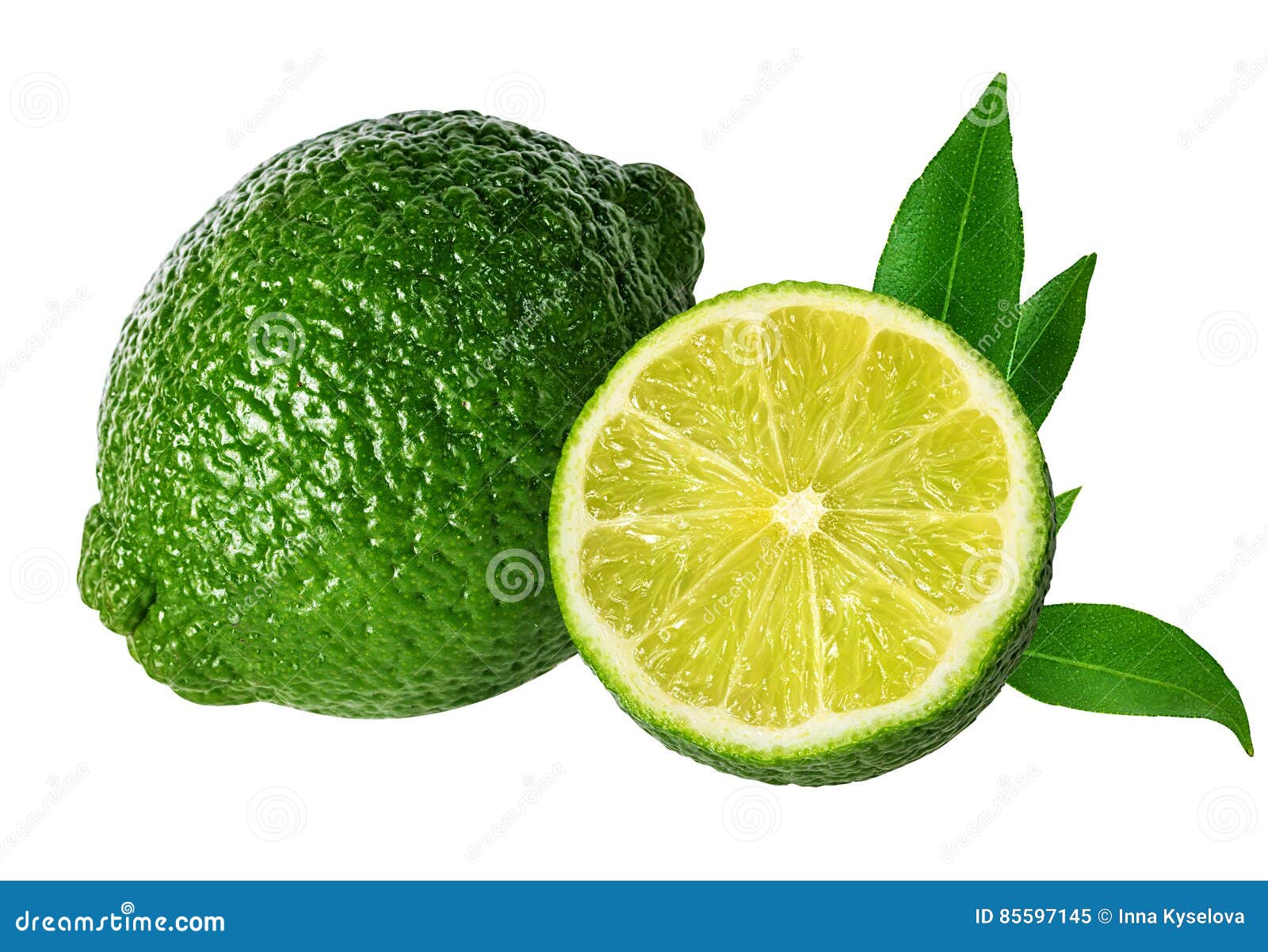 Cal aislada en blanco imagen de archivo. Imagen de sano - 85597145