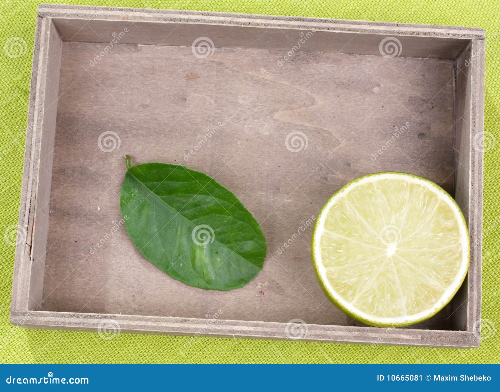 Cal con la hoja imagen de archivo. Imagen de travieso - 10665081