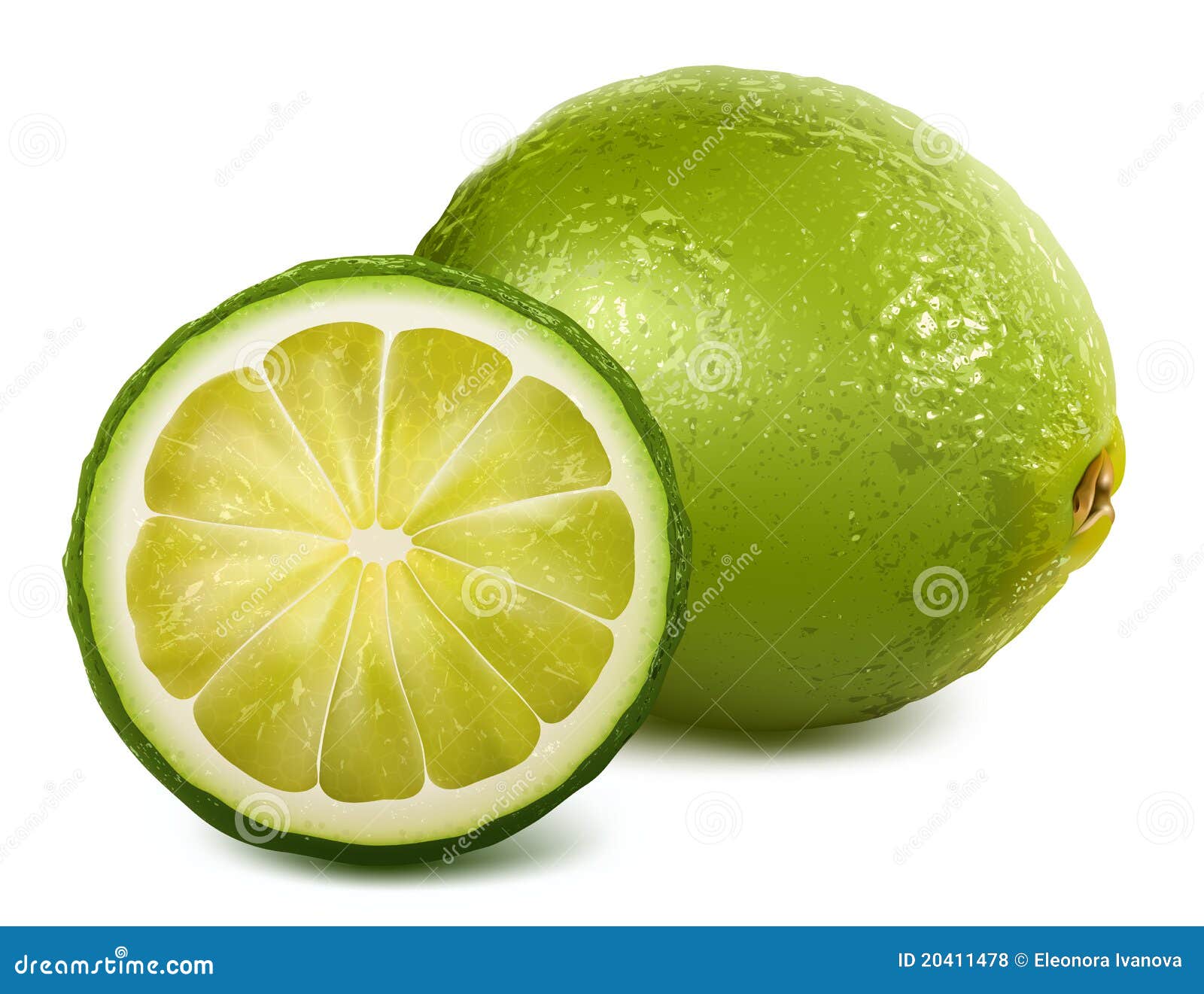 Cal fresco ilustração do vetor. Ilustração de meio, fresco - 20411478