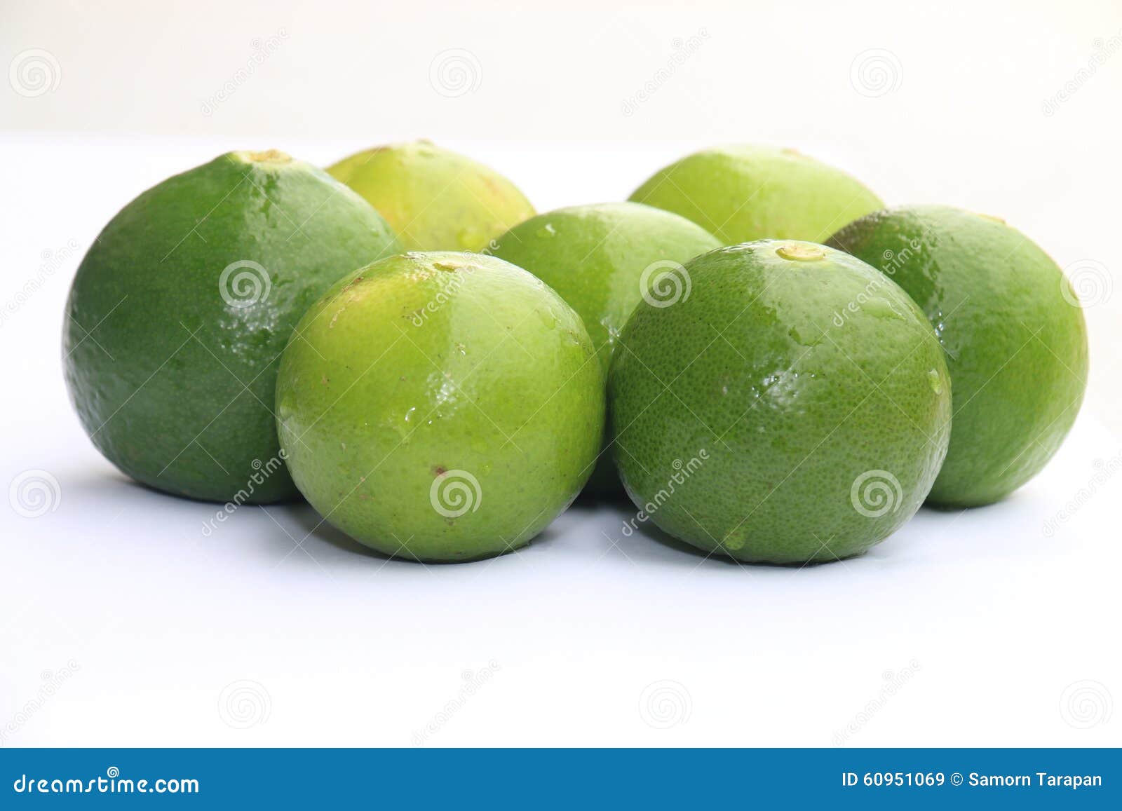 Cal fresco imagem de stock. Imagem de suculento, bonito - 60951069