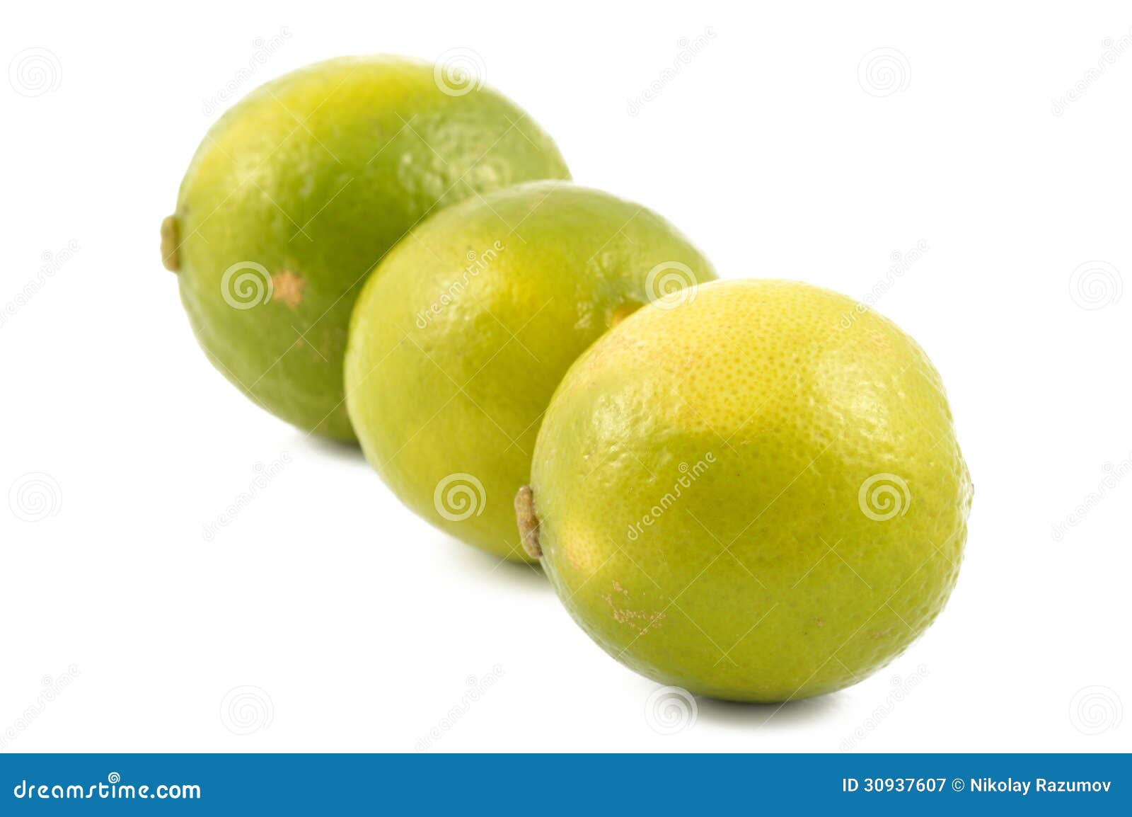 Cal Fresco Em Um Fundo Branco Imagem de Stock - Imagem de objeto ...