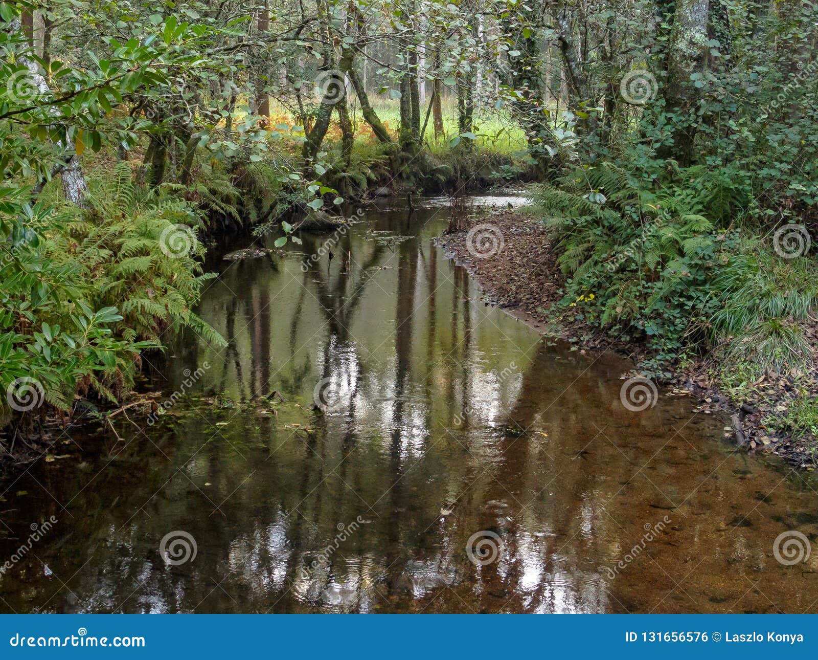 Cala baja - Melide foto de archivo. Imagen de maderas - 131656576