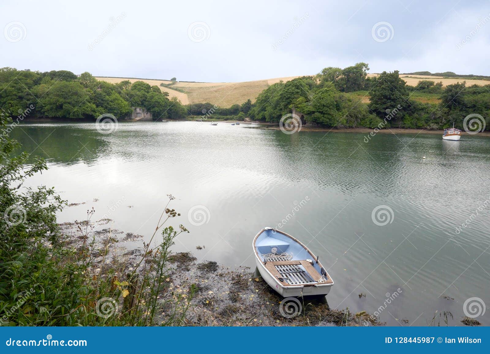 Cala De Batson, Devon England Imagen de archivo - Imagen de situa ...