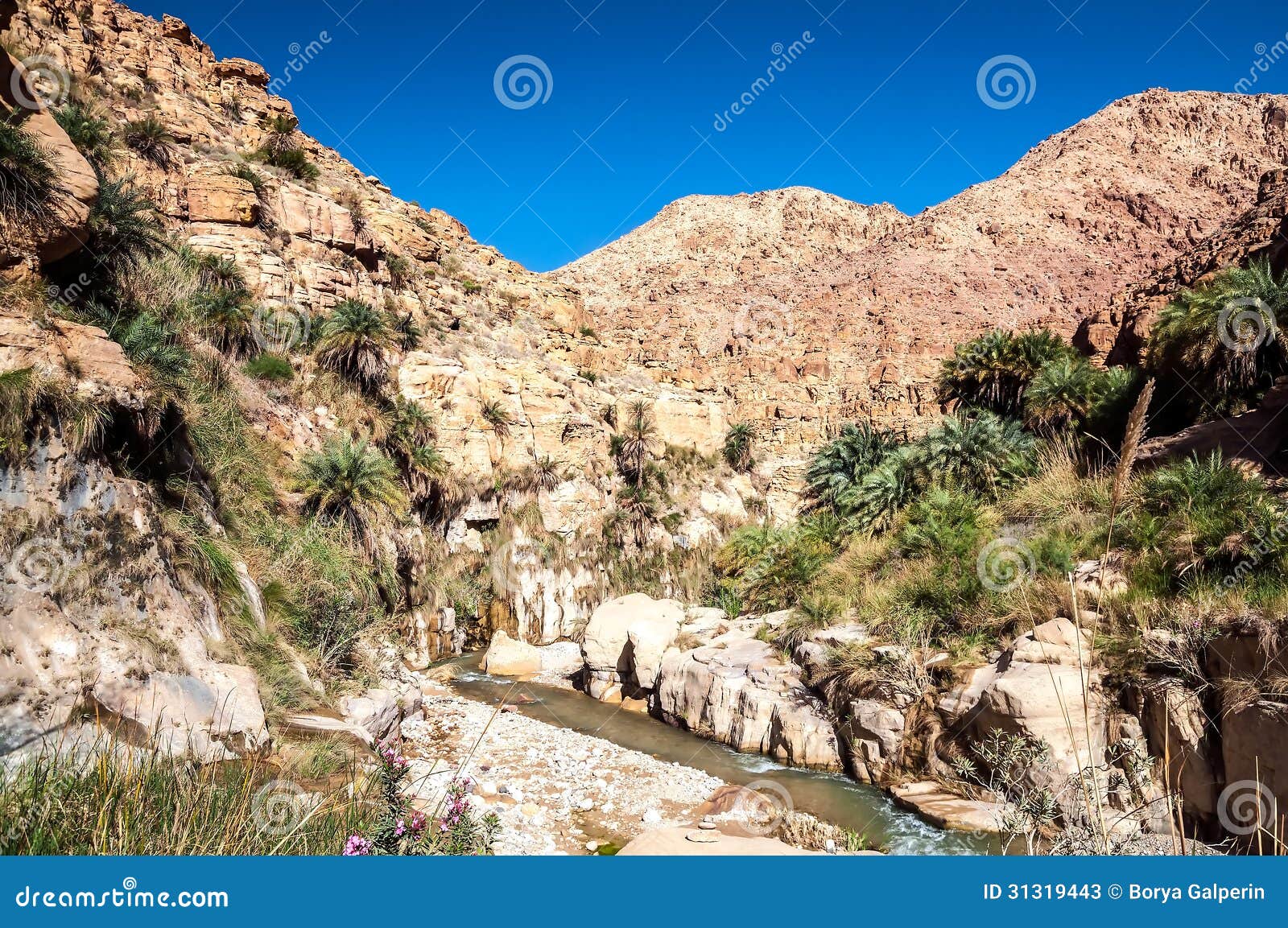 Cala De Wadi Hasa En Jordania Imagen de archivo - Imagen de arbusto ...