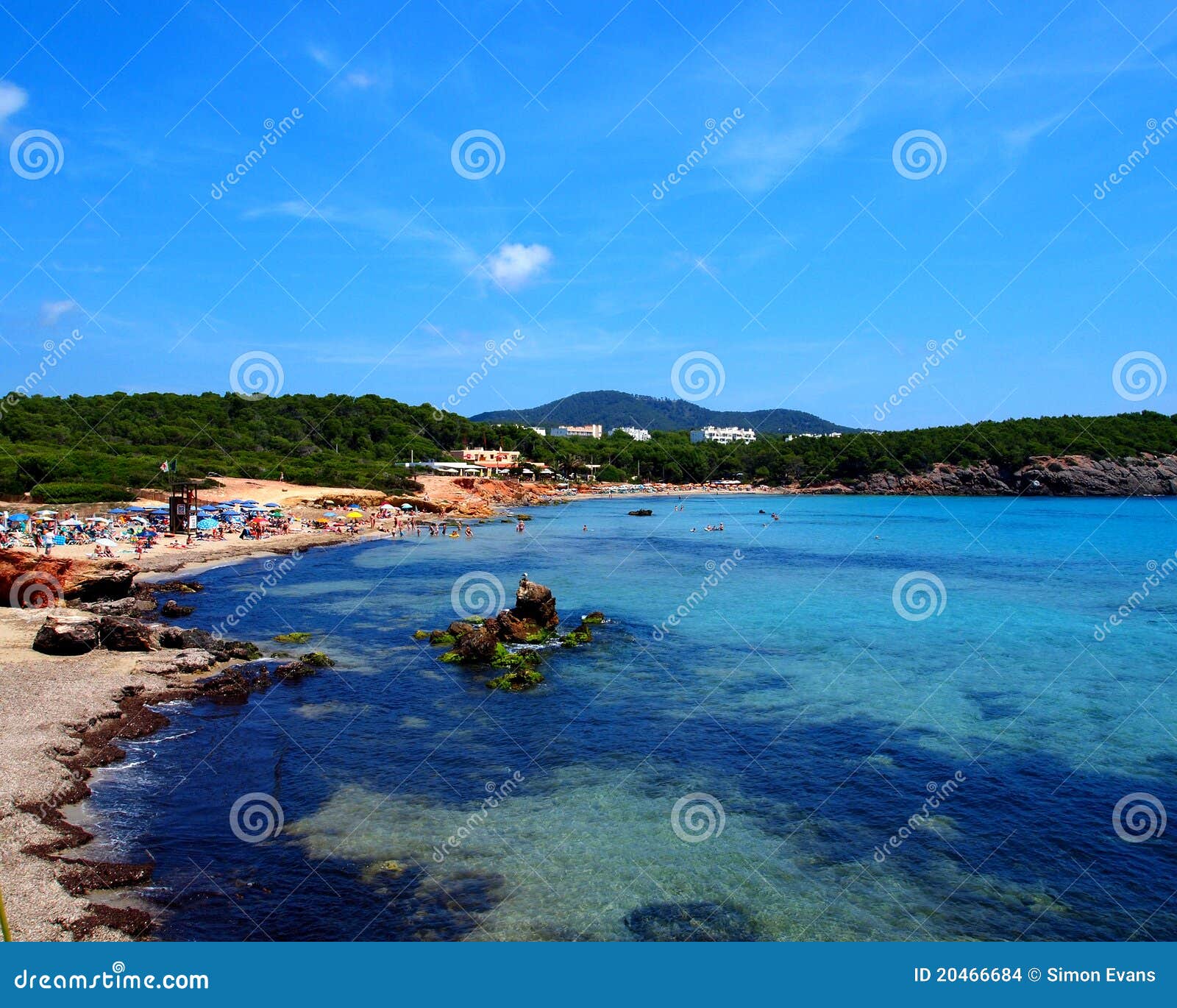 Cala Nova beach Ibiza stock photo. Image of blue, mediteranean - 20466684
