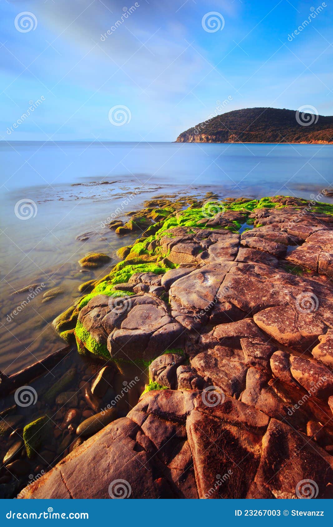Cala Violina Tuscan Beach. Mediterranean Sea. Stock Image - Image of ...
