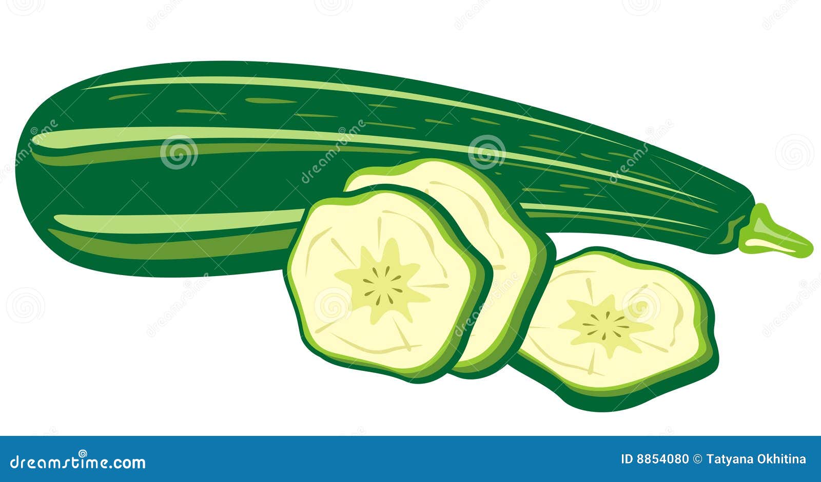 Calabacín ilustración del vector. Ilustración de alimento - 8854080