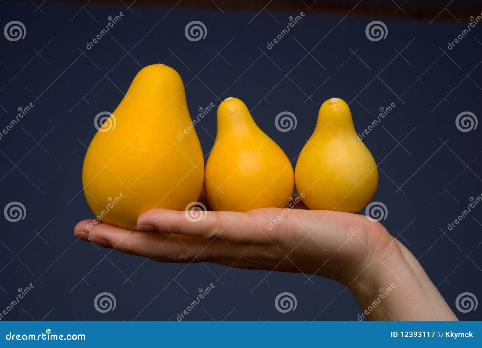 Calabas stock image. Image of bottle, vegetable, fruit - 12393117